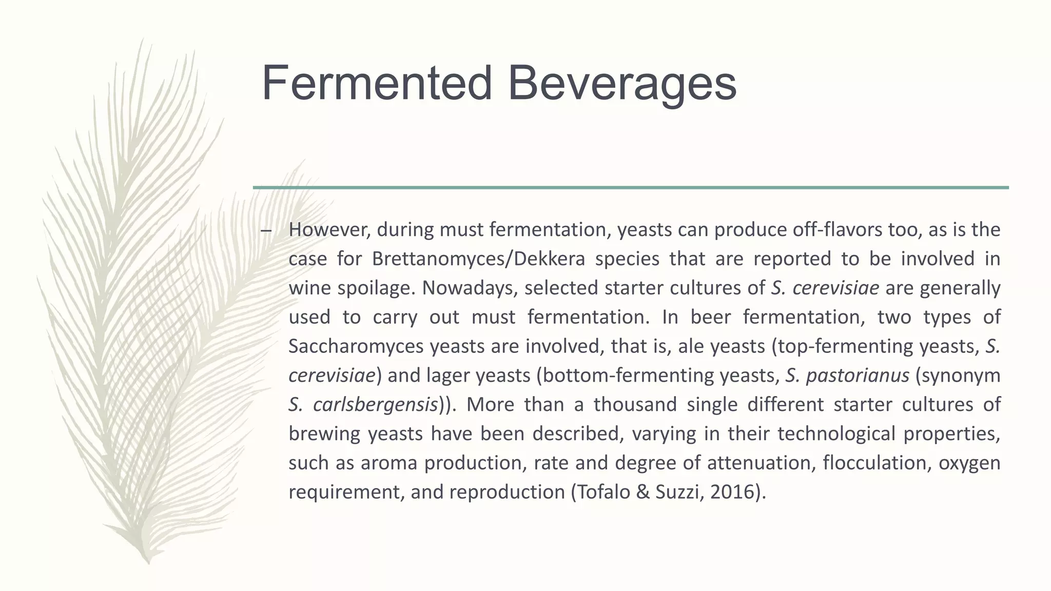 Yeast in food industry | PPTX