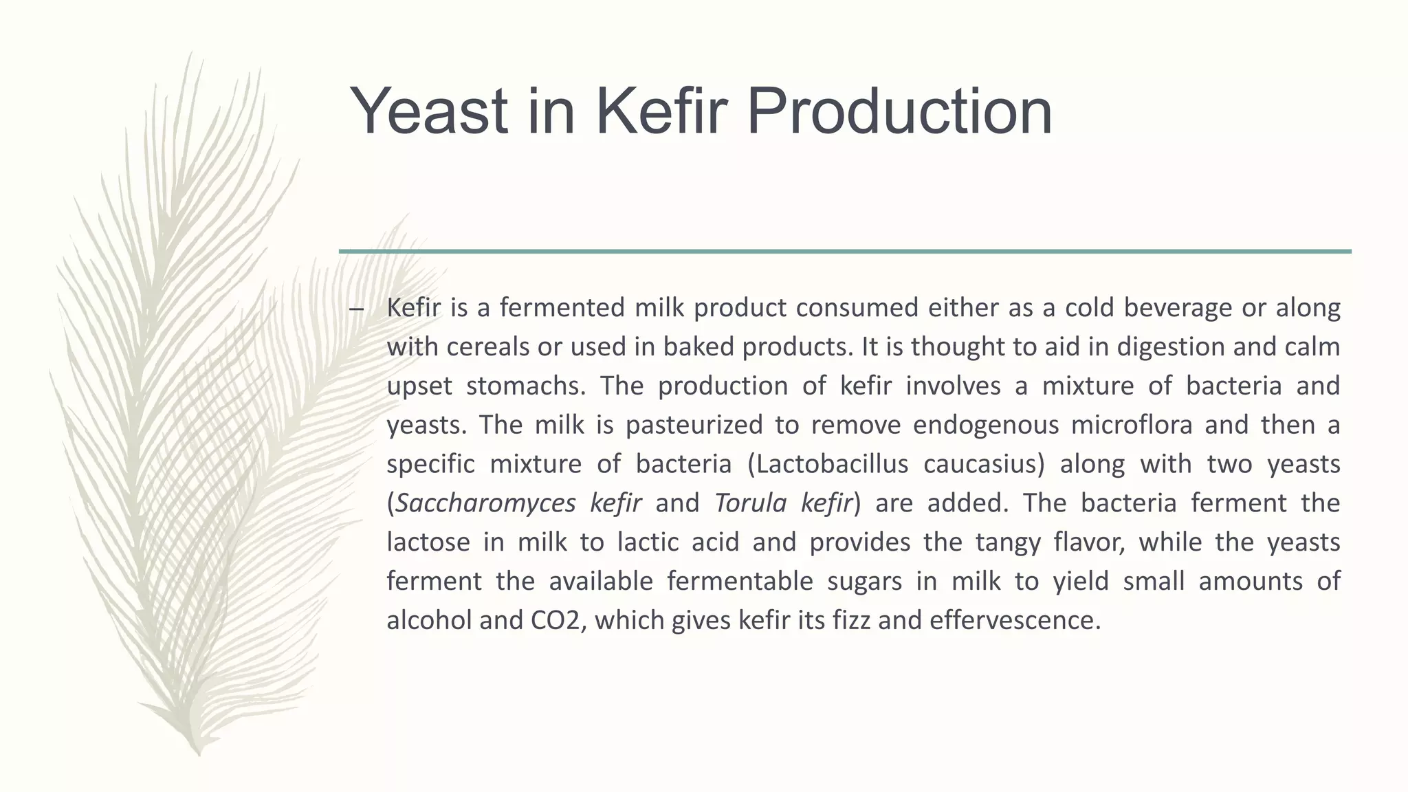 Yeast in food industry | PPTX