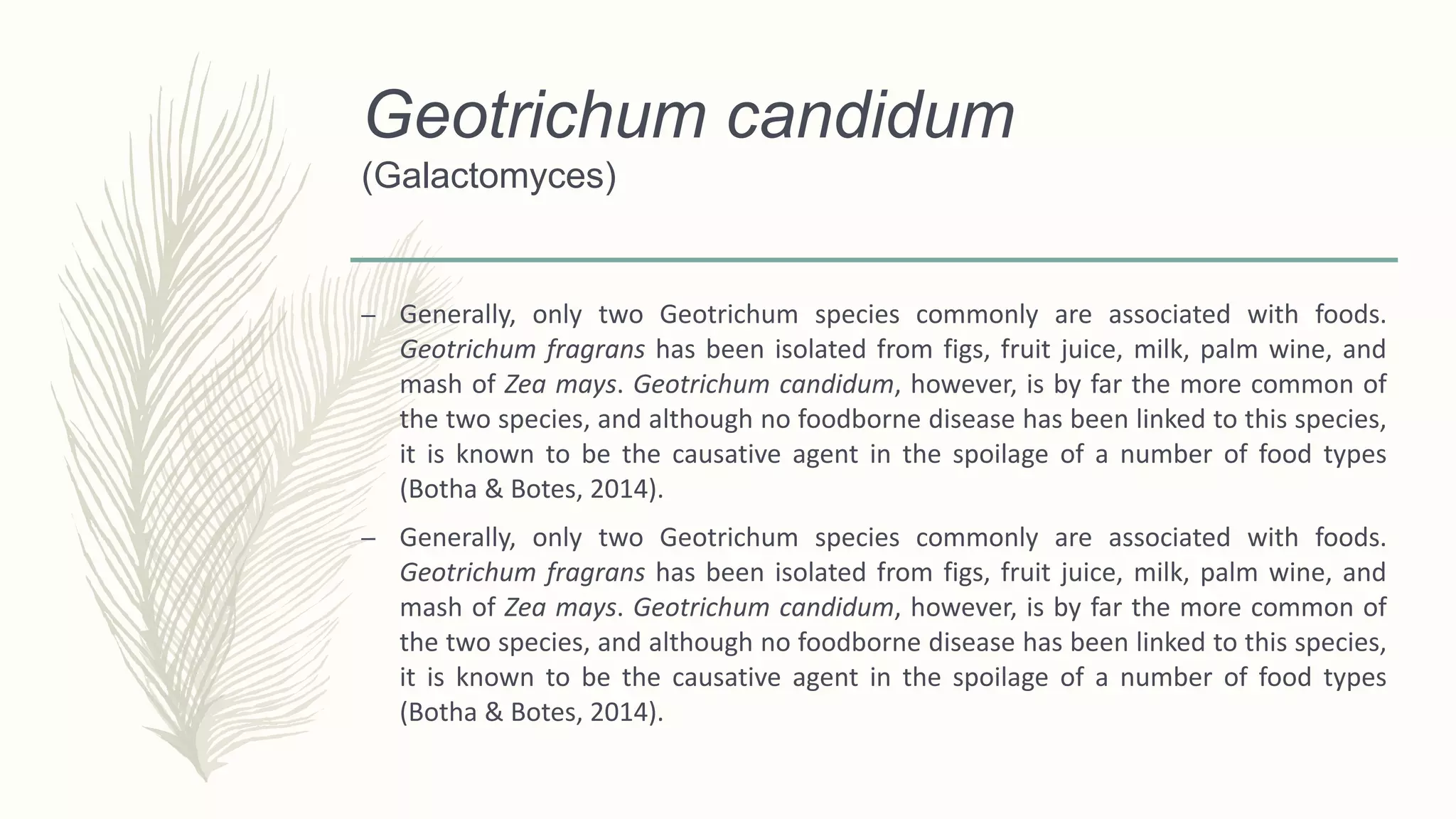 Yeast in food industry | PPTX