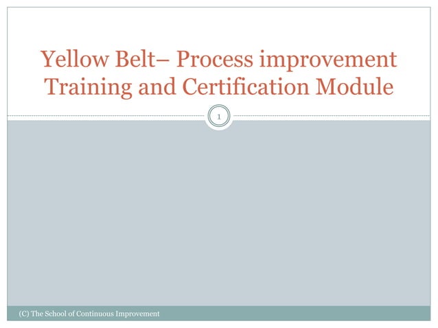 Yellow belt process improvement training and certification module | PDF