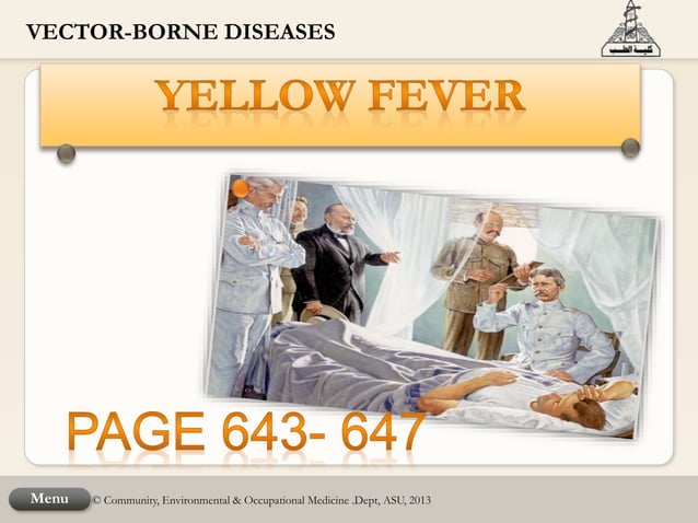 Yellow fever.pptx