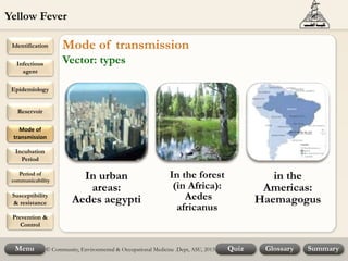 Yellow fever.pptx