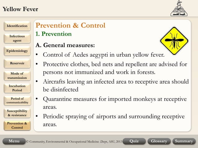 Yellow fever.pptx
