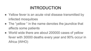 YELLOW FEVER.pptx