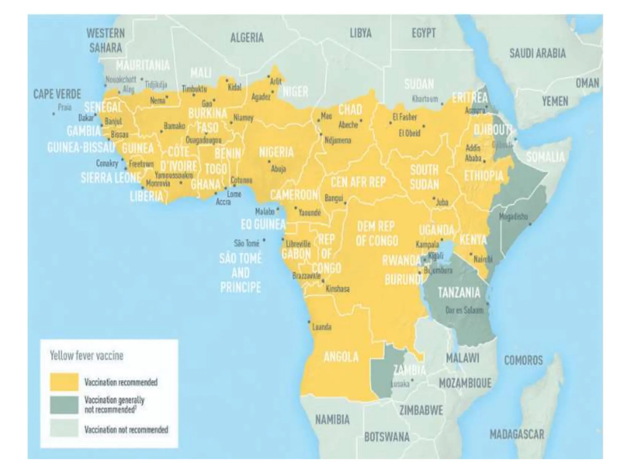Yellow fever.pptx(Epidemiology,Clinical features and prevention) | PPTX