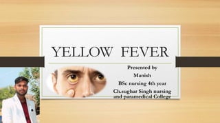 yellow fever slideshare ppt by manish kumar | PPTX