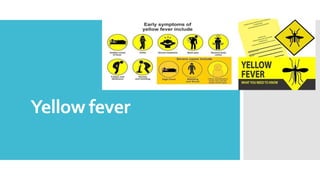 Yellow fever | PPT