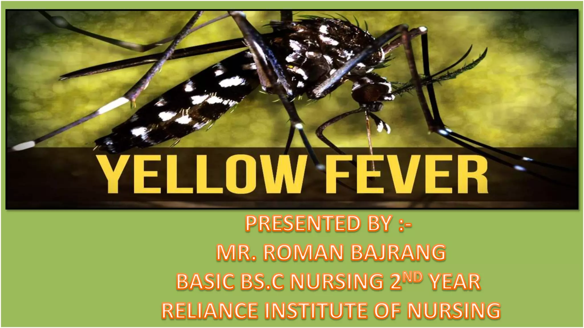Yellow fever | PPTX | Infectious Diseases | Diseases and Conditions