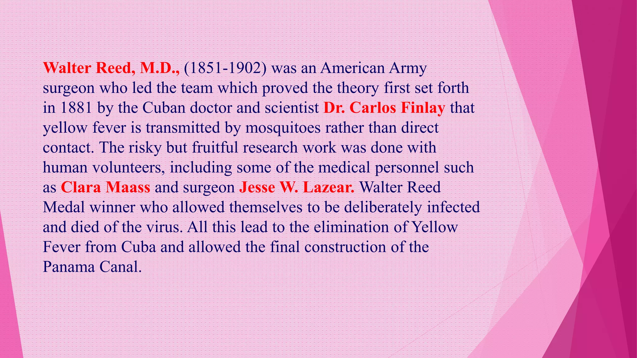 Yellow fever presentation | PPTX