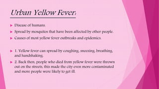 Yellow fever presentation | PPTX
