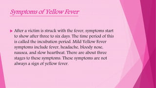 Yellow fever presentation | PPTX