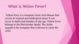 Yellow fever presentation | PPTX