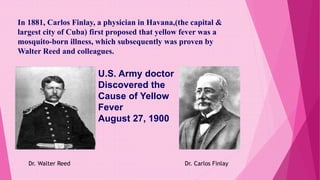 Yellow fever presentation | PPTX