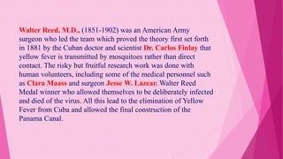 Yellow fever presentation | PPTX