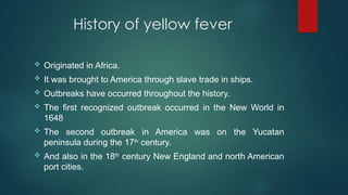 yellow fever presentation.............pptx