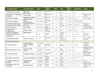 Yellow flowers 1-11 | PPT