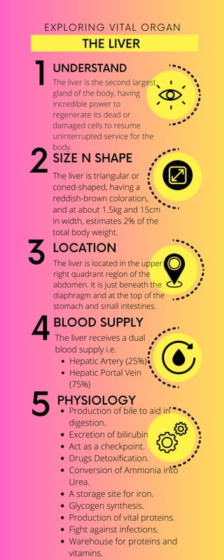 ''The Liver'' Exploring the Vital Organ, A Comprehensive Guide to the ...