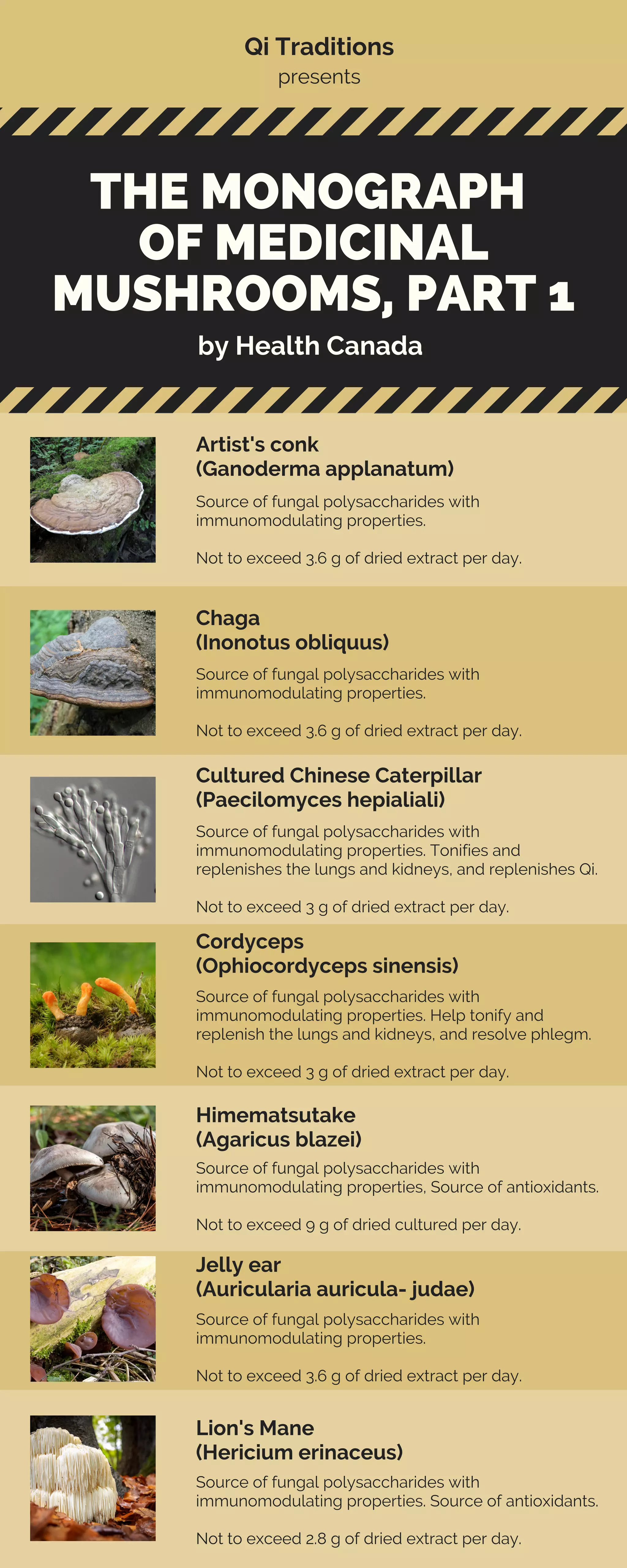 List of medicinal mushrooms | PDF | Lung and Respiratory Health ...