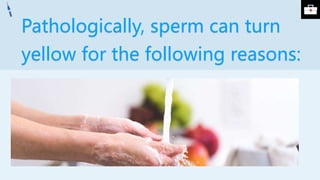 Yellow Semen: Can Abstinence Be A Cause | PPTX