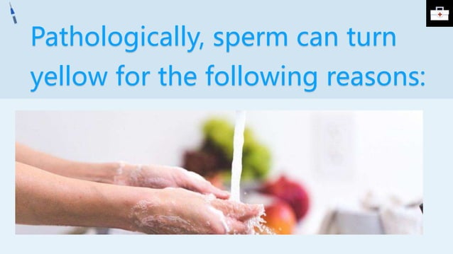 Yellow Semen: Can Abstinence Be A Cause | PPTX | Infertility | Reproductive Health