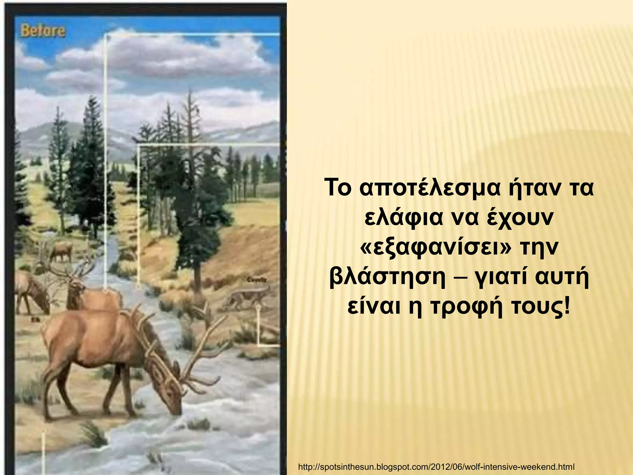 Πώς οι λύκοι αλλάζουν τα ποτάμια | PPTX