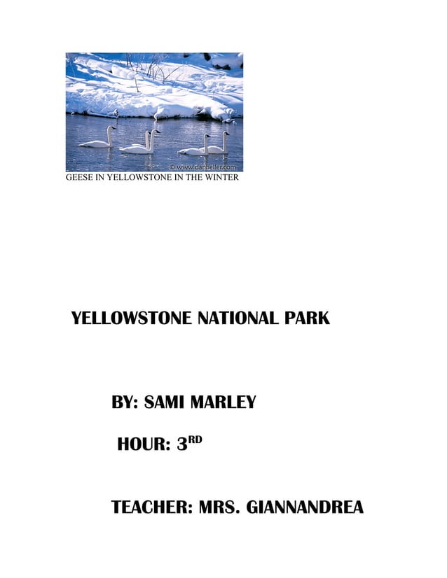 Yellowstone national park | PDF