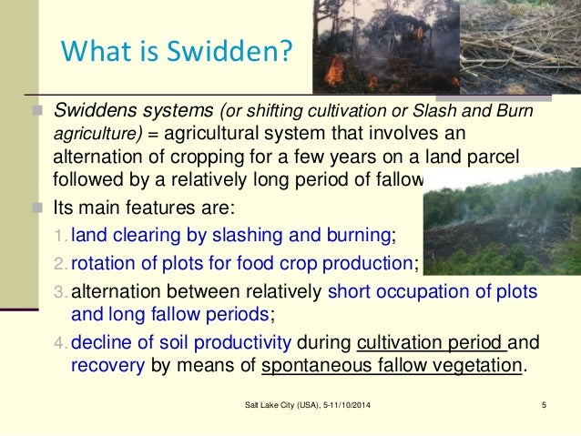 Assessing Sustainability of Swiddens systems in Tropical Forest Margi…