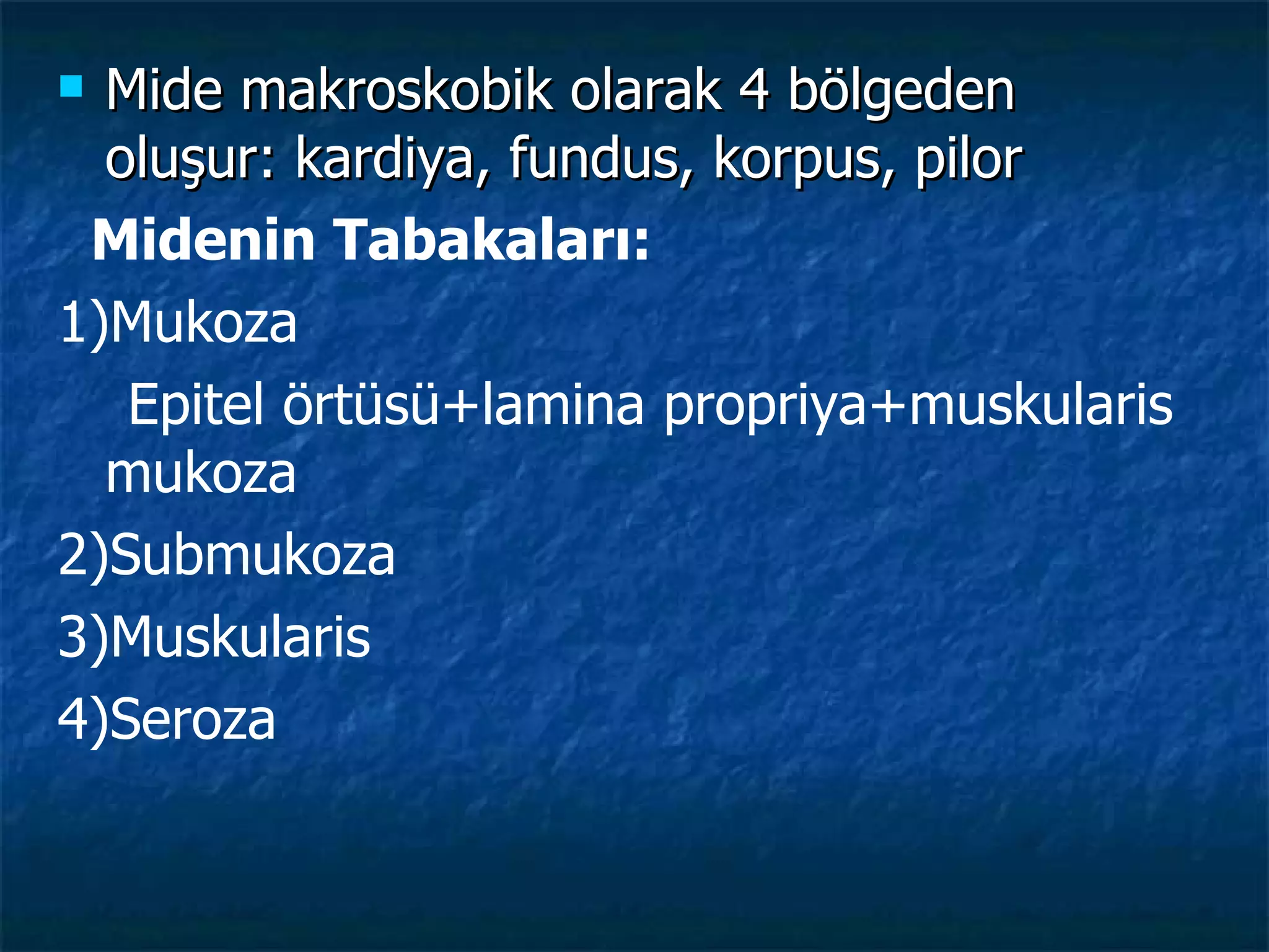 Yemek borusu özofagus histolojisi | PPT