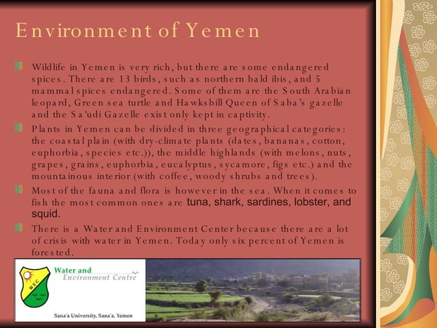 Yemen | PPT | Geography | Science