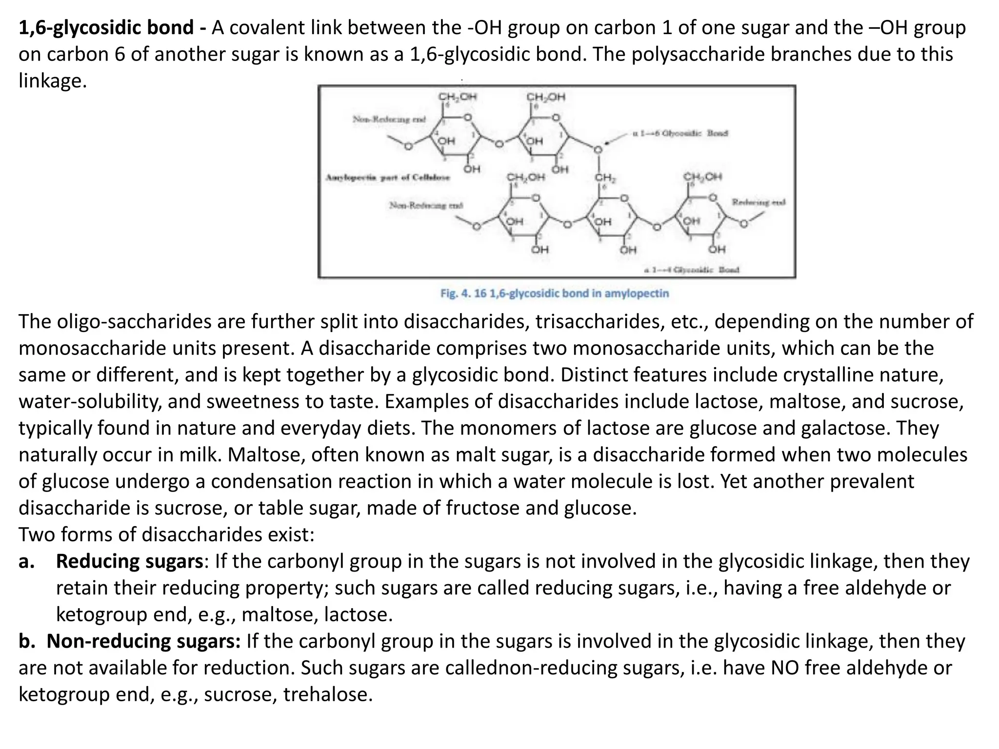 Biomolecules2 for biology for engineering | PDF