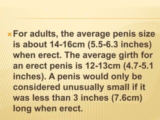 Does size really matter? | PPTX