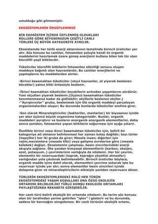 Yeni microsoft word belgesi (2) | PDF