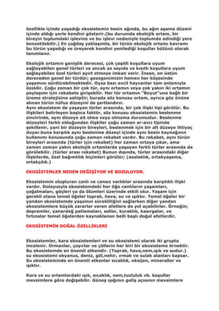 Yeni microsoft word belgesi (2) | PDF