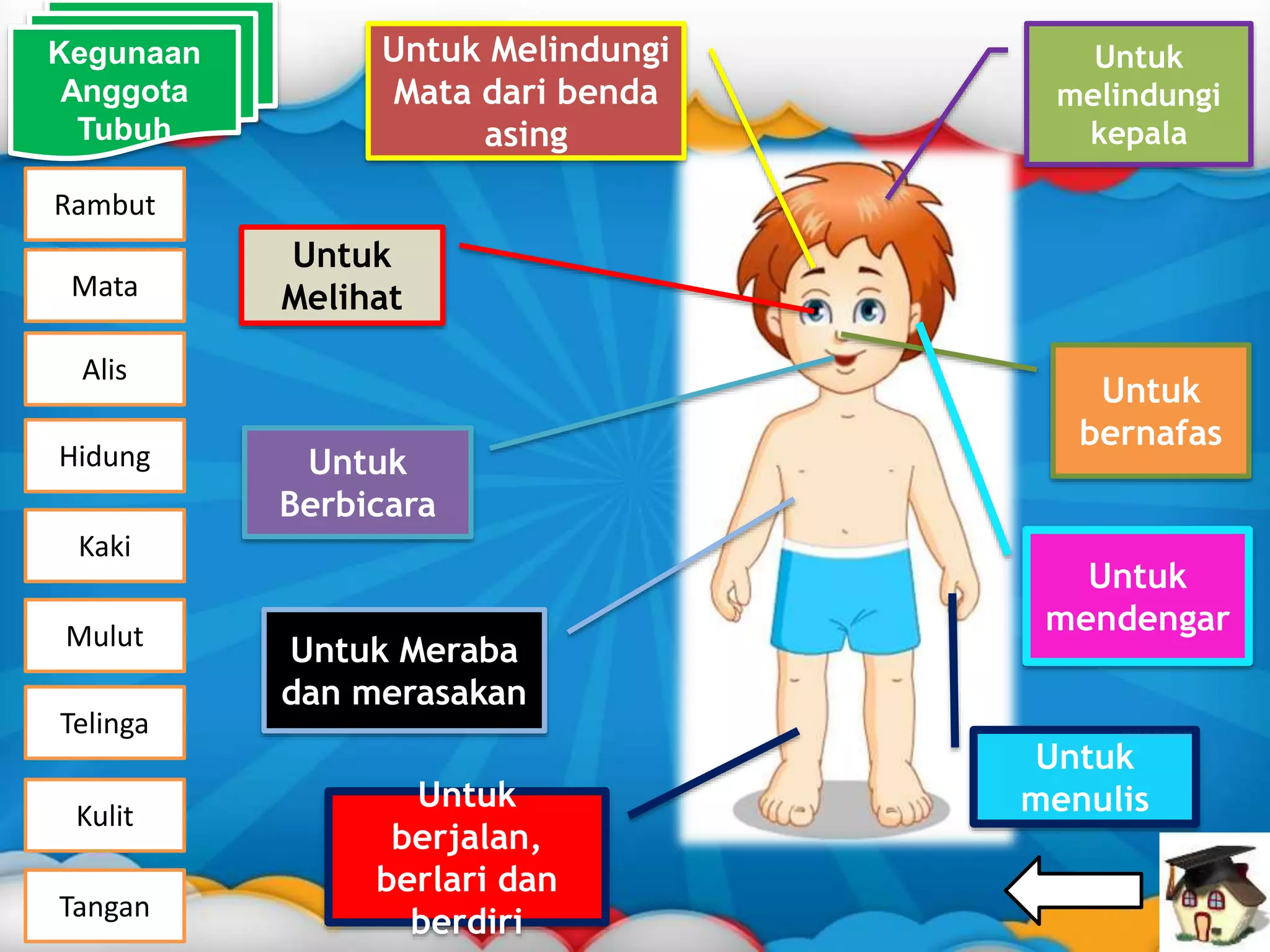mengenal anggota tubuh | PPTX