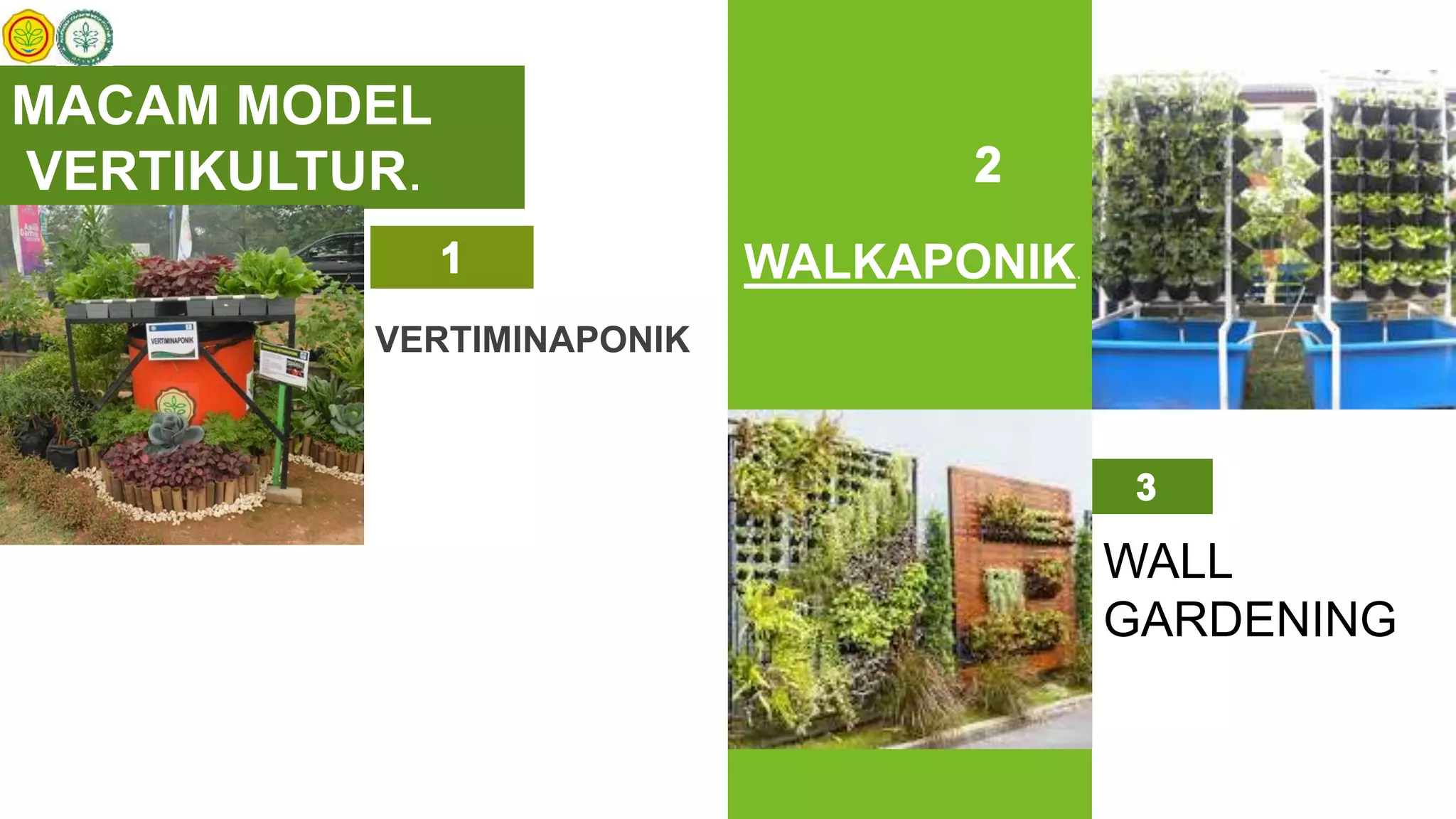 VERTIKULTUR Yenny permata sari PPB 3D | PPTX