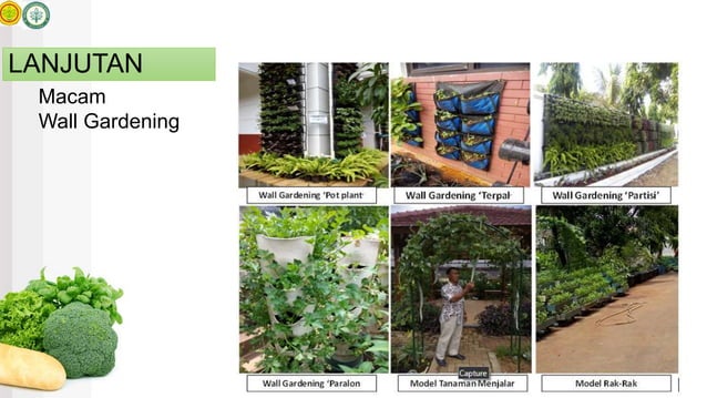 VERTIKULTUR Yenny permata sari PPB 3D | PPTX