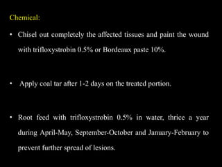 Yenugula pravallika 2015021141 pathology | PPTX | Blood Disorders ...