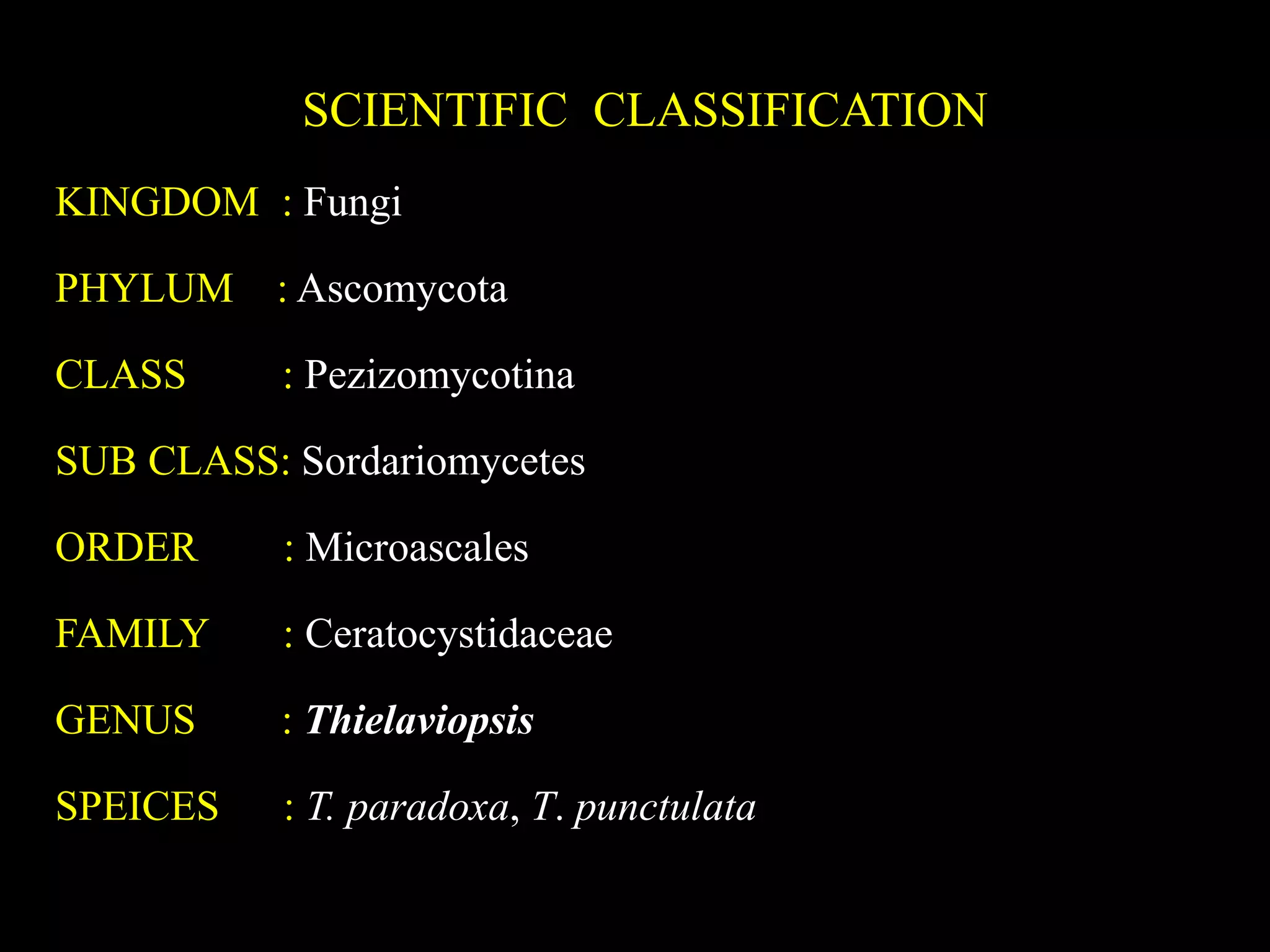 coconut stem bleeding | PPTX