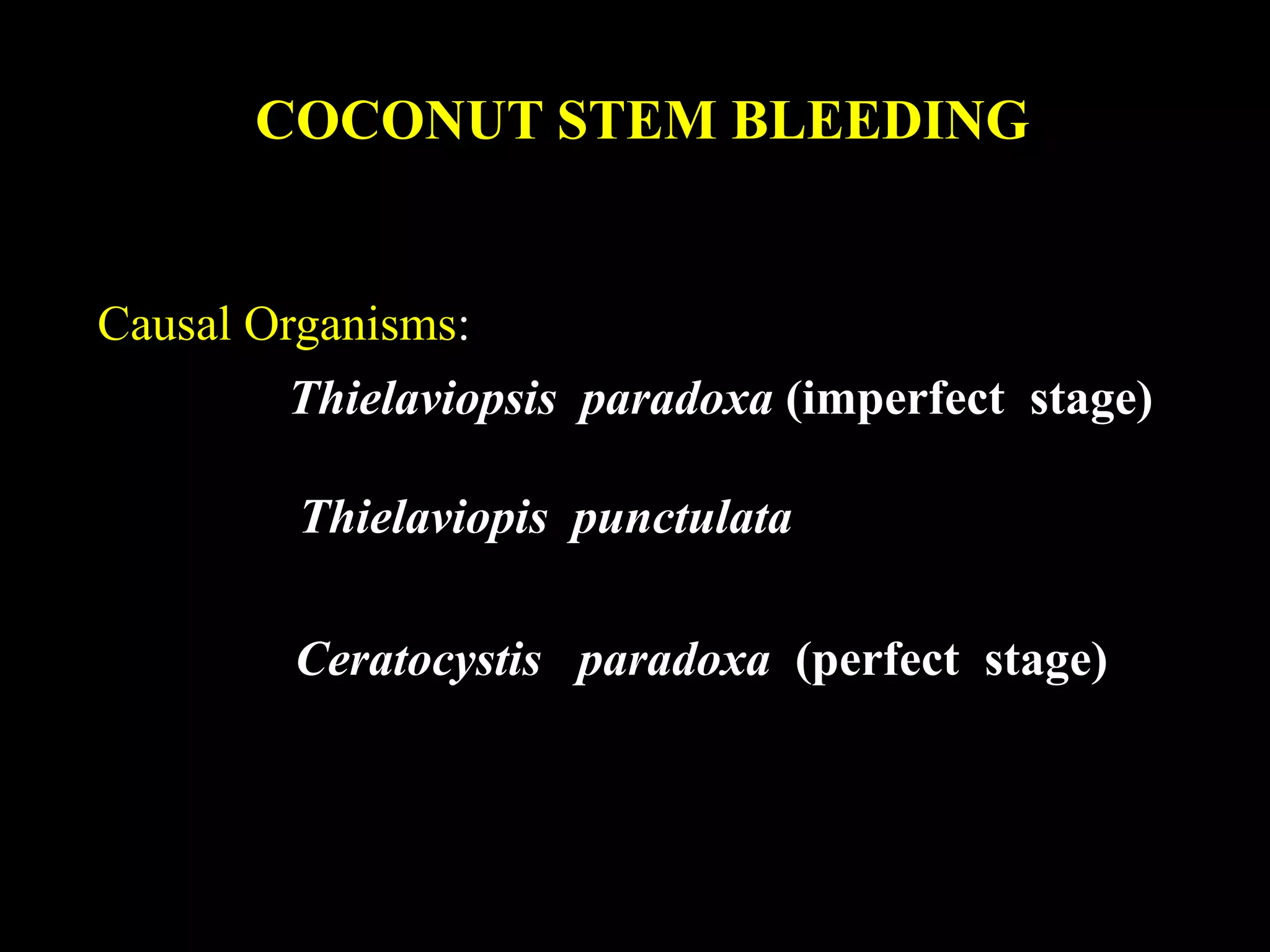 coconut stem bleeding | PPTX