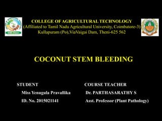 coconut stem bleeding | PPTX