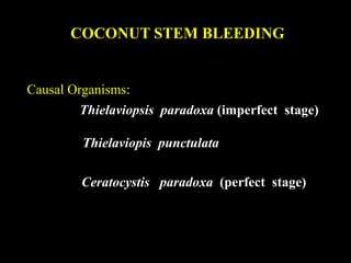 coconut stem bleeding | PPTX