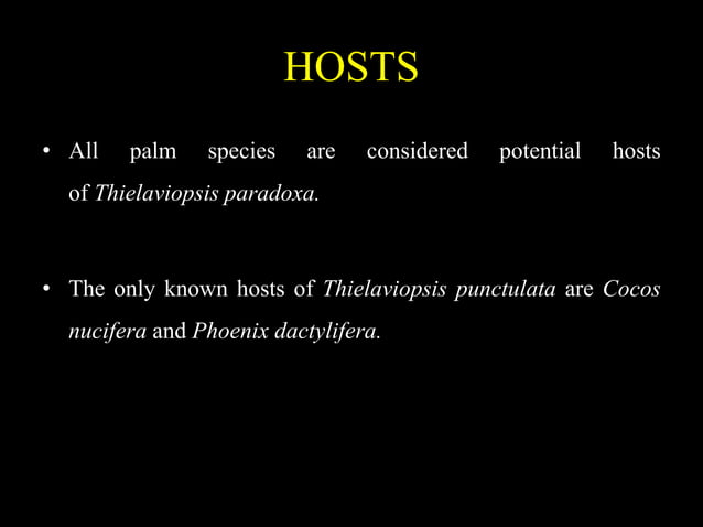 coconut stem bleeding | PPTX