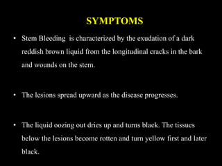 coconut stem bleeding | PPTX