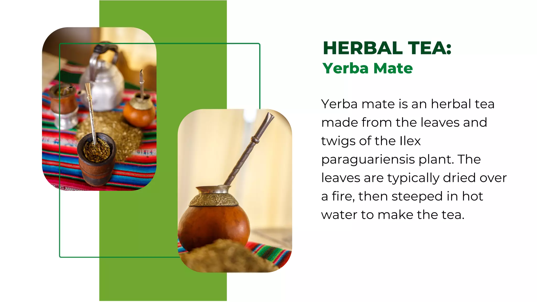 yerba mate | PDF