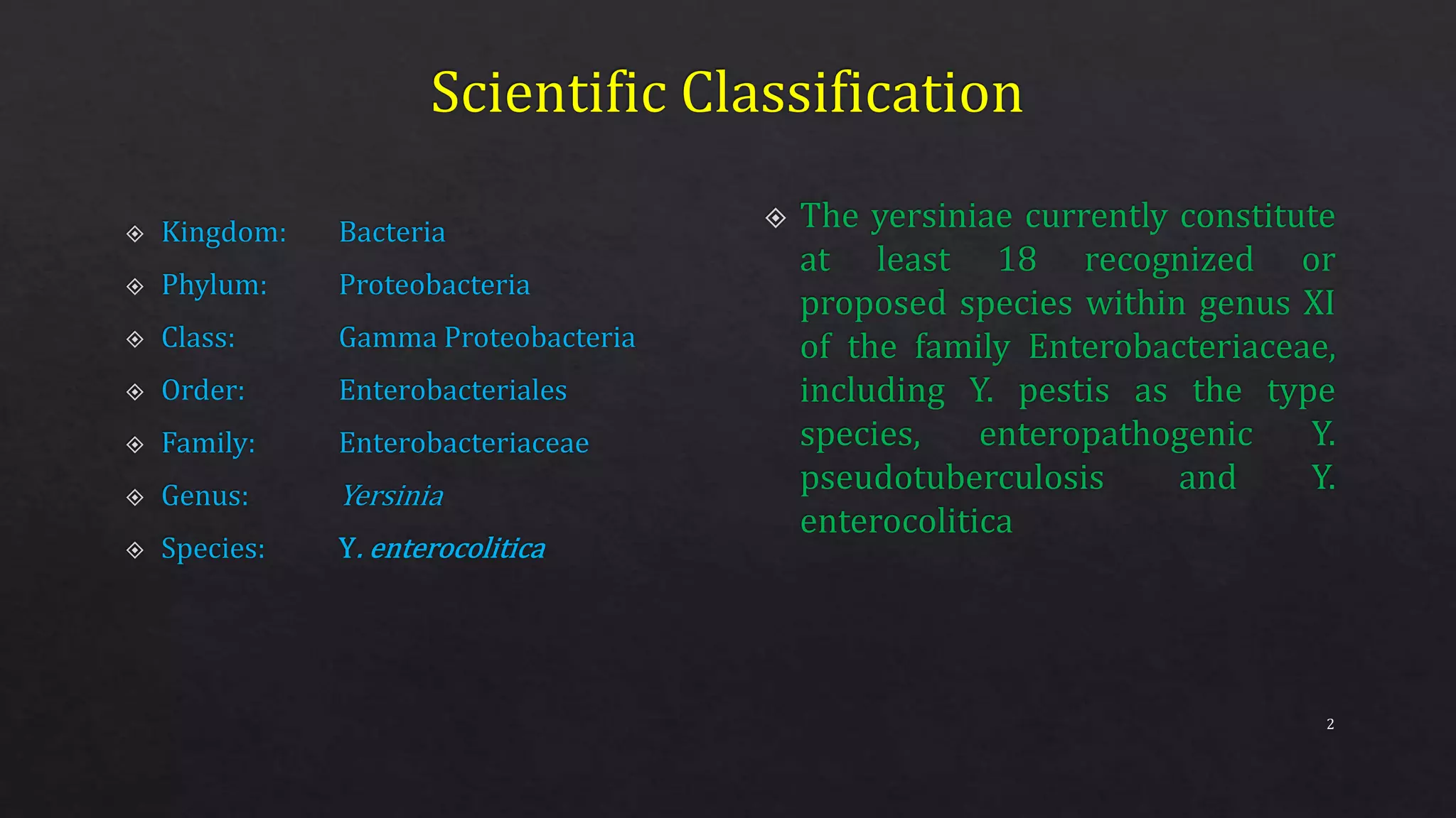 Yersinia enterocolitica | PPTX