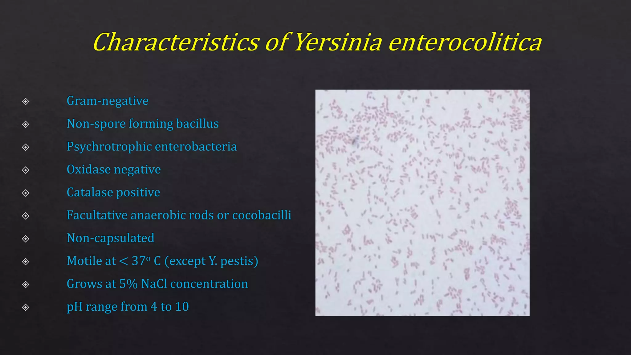 Yersinia enterocolitica | PPTX
