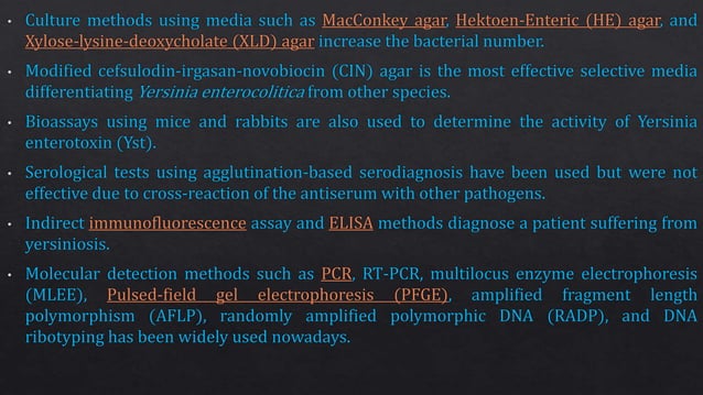Yersinia enterocolitica | PPTX