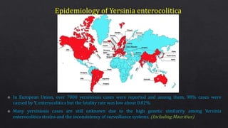 Yersinia enterocolitica | PPTX