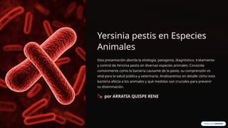 Yersinia-pestis-en-Especies-Animales.pptx