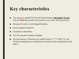 Yersinia | PPTX